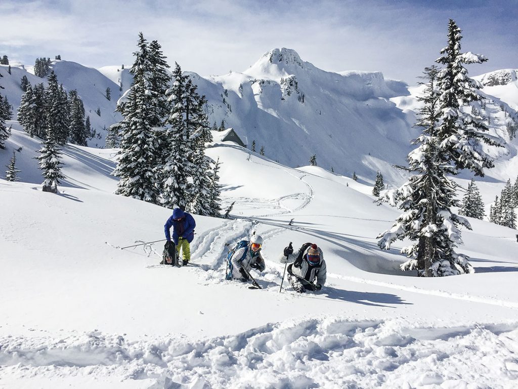 Levels of Avalanche Courses - Baker Mountain Guides